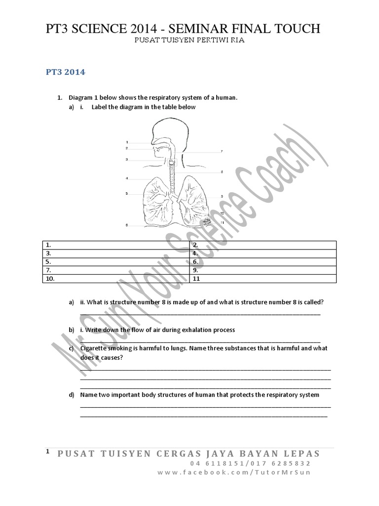 PT3 Science 2014 Respiratory System Guide | PDF | Heart Valve | Atrium ...