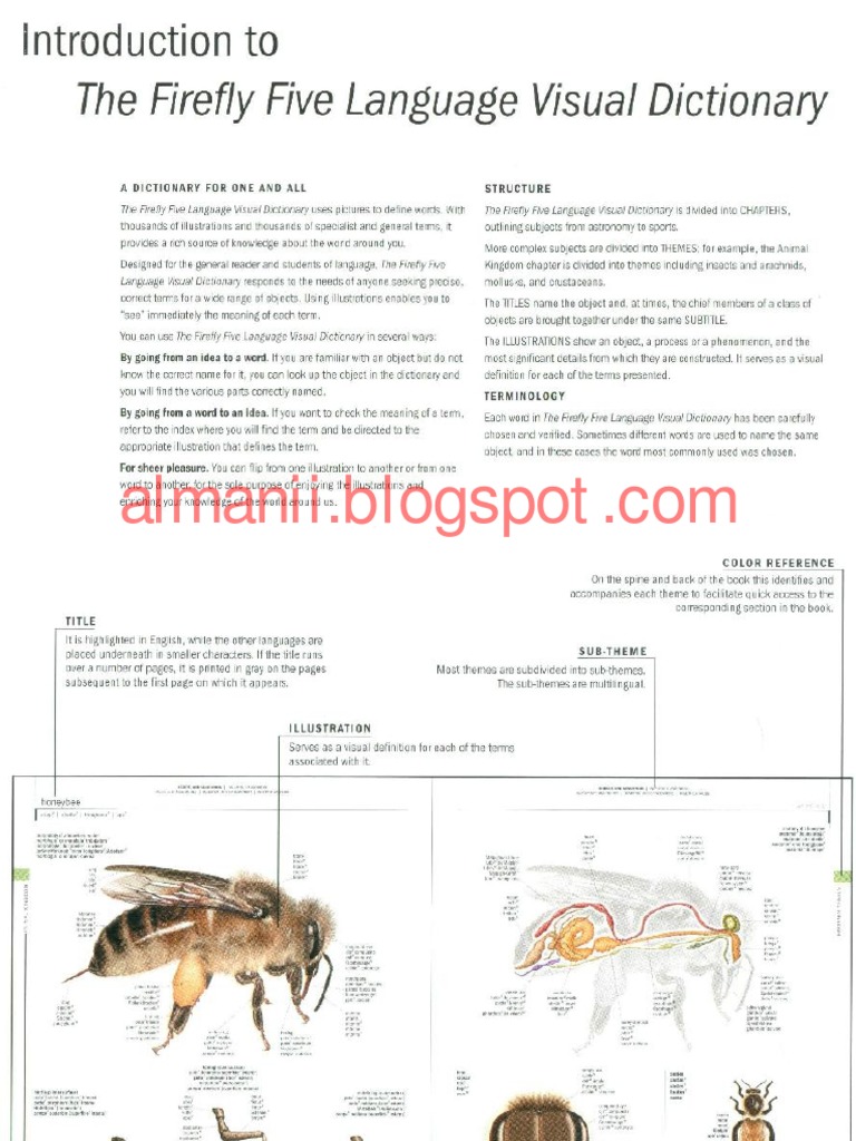 Firefly Visual Dictionary Overview | PDF