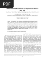 Karnofsky/Lansky Performance Status | PDF