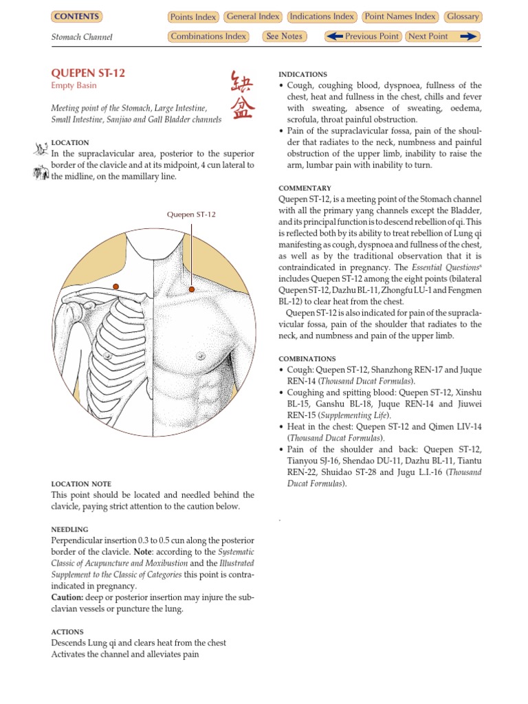 ST 12 | PDF | Thorax | Acupuncture