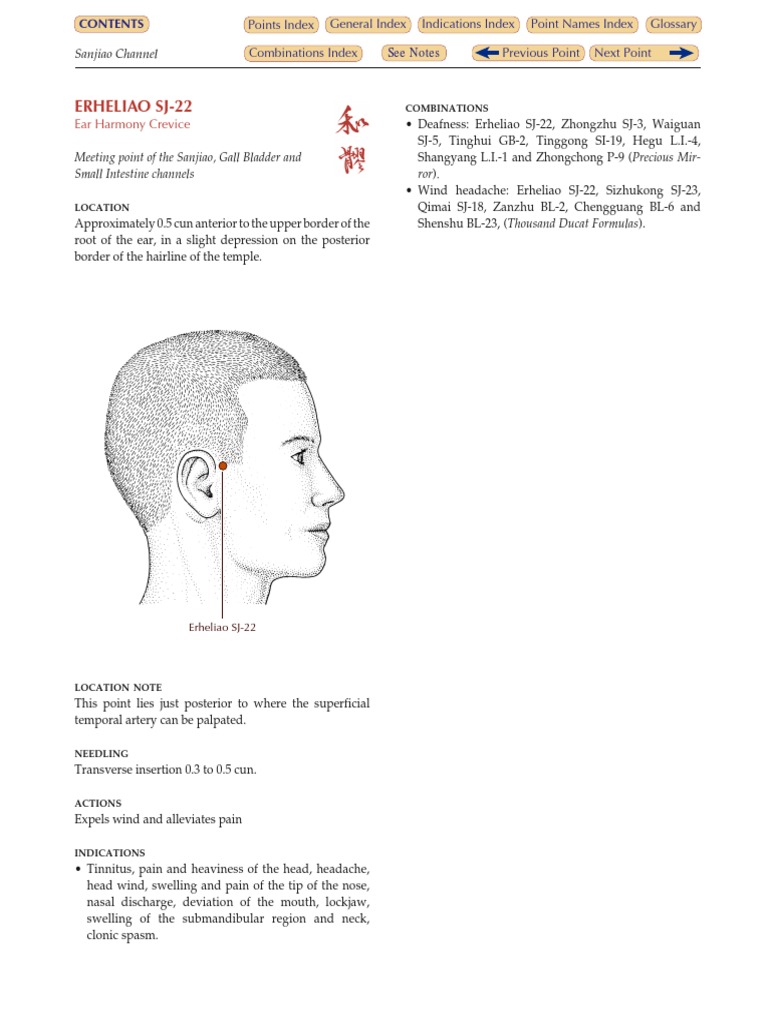Erheliao Sj-22: Ear Harmony Crevice | PDF | Medical Specialties | Anatomy