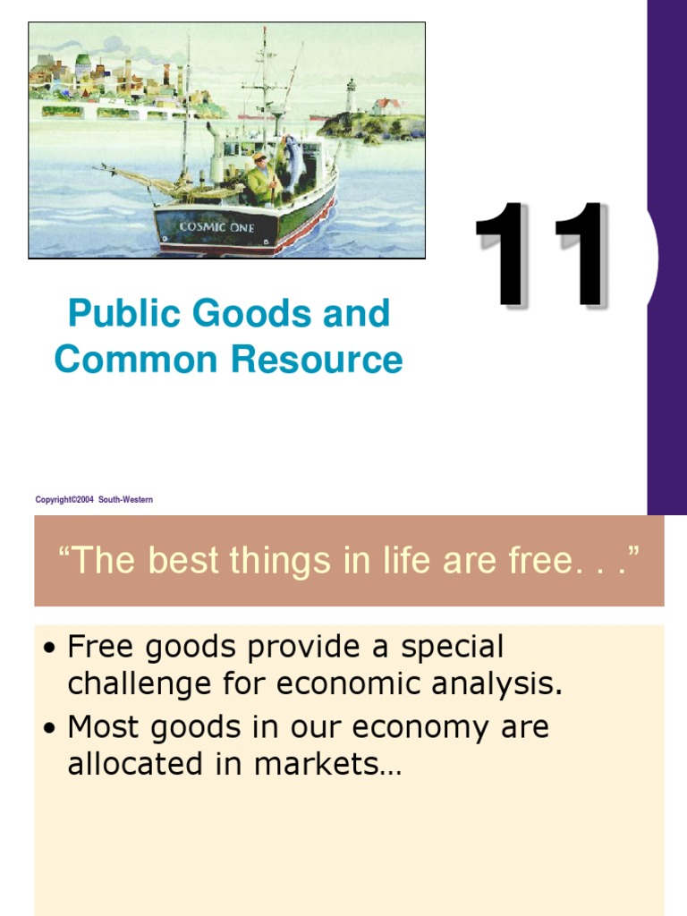 Public Goods and Common Resource | PDF | Public Good | Cost–Benefit ...