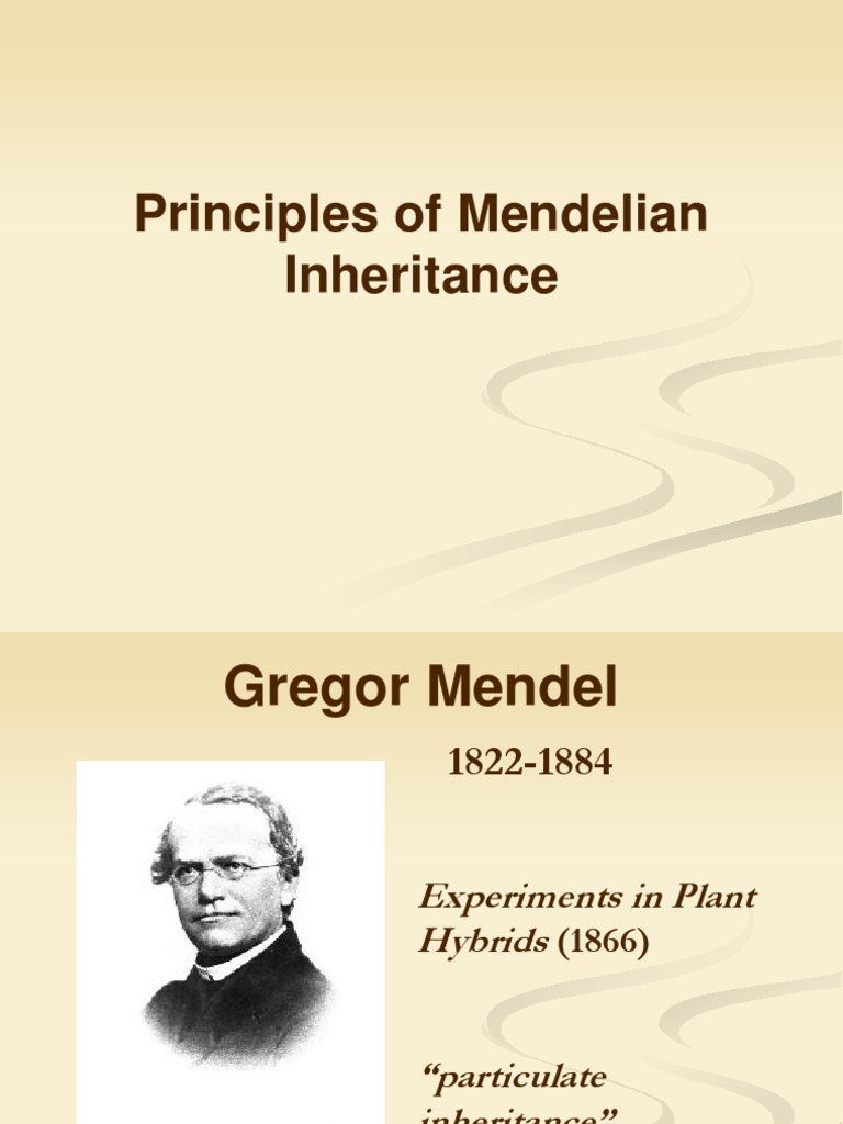 Mendelian Inheritance | PDF | Dominance (Genetics) | Zygosity