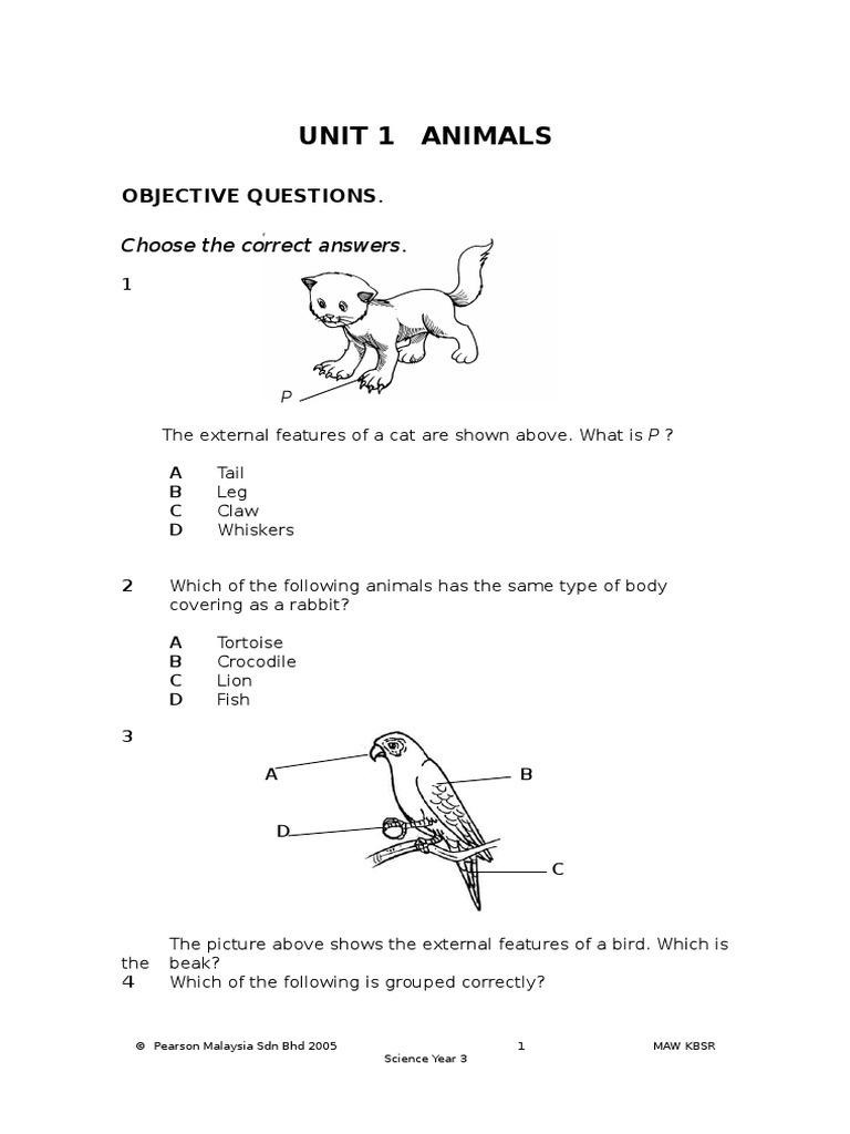 Unit 1 Animals: Objective Questions | PDF | Tetrapods | Birds