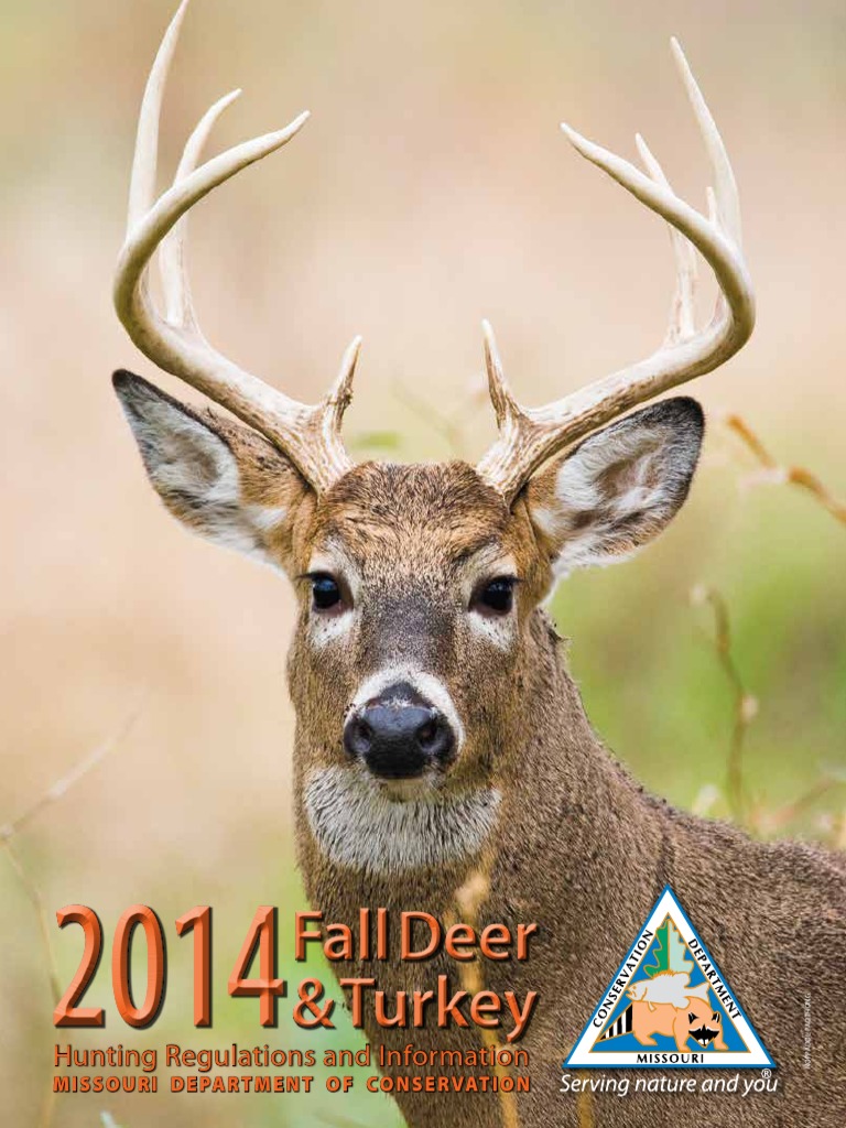 Fall Deer and Turkey Hunting Regulations and Information | Download ...