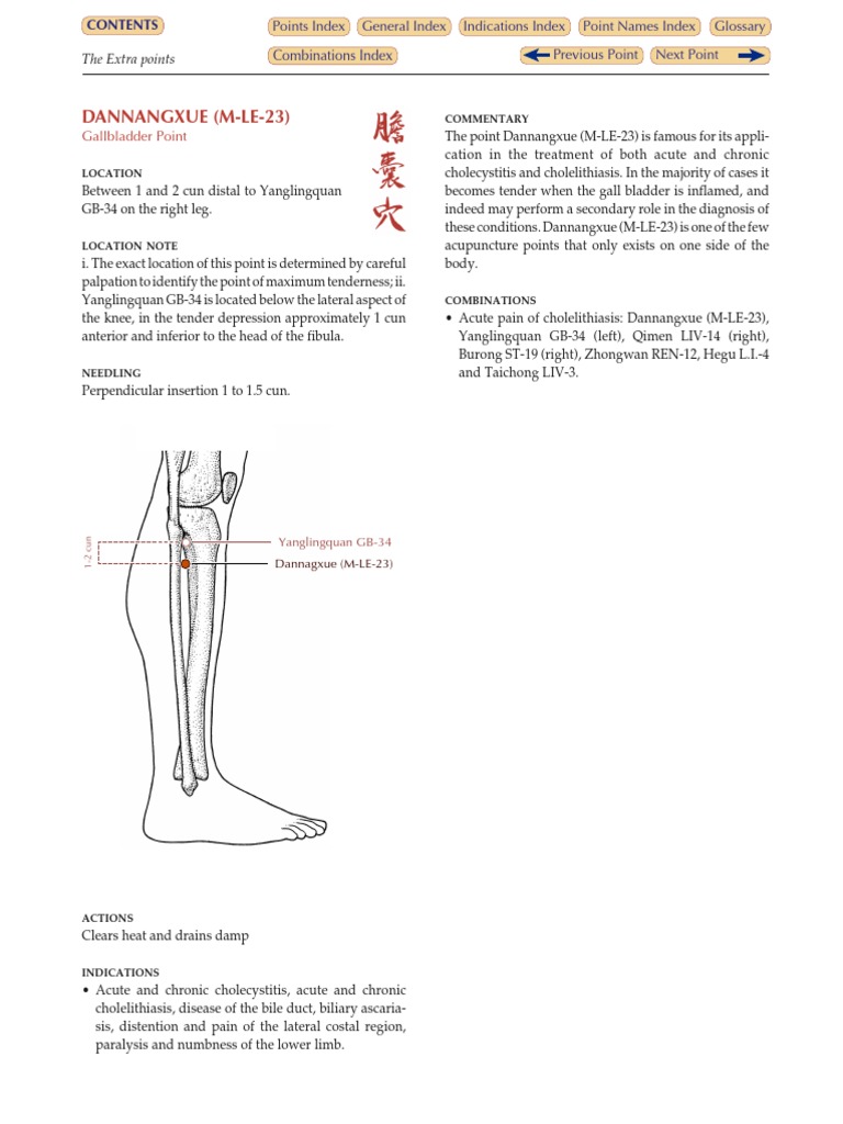 Dannangxue (M-Le-23) : Gallbladder Point | PDF | Gallbladder | Bile