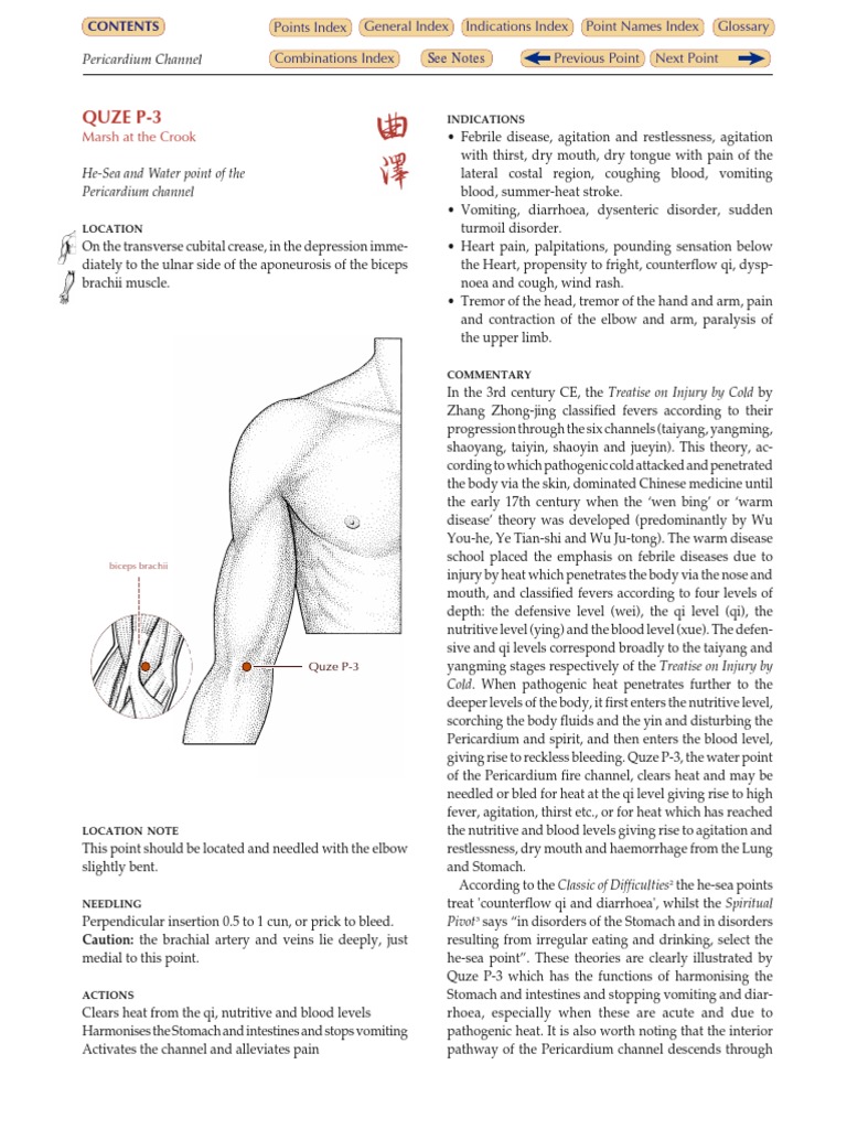 Quze P-3: Marsh at The Crook | PDF | Arm | Elbow