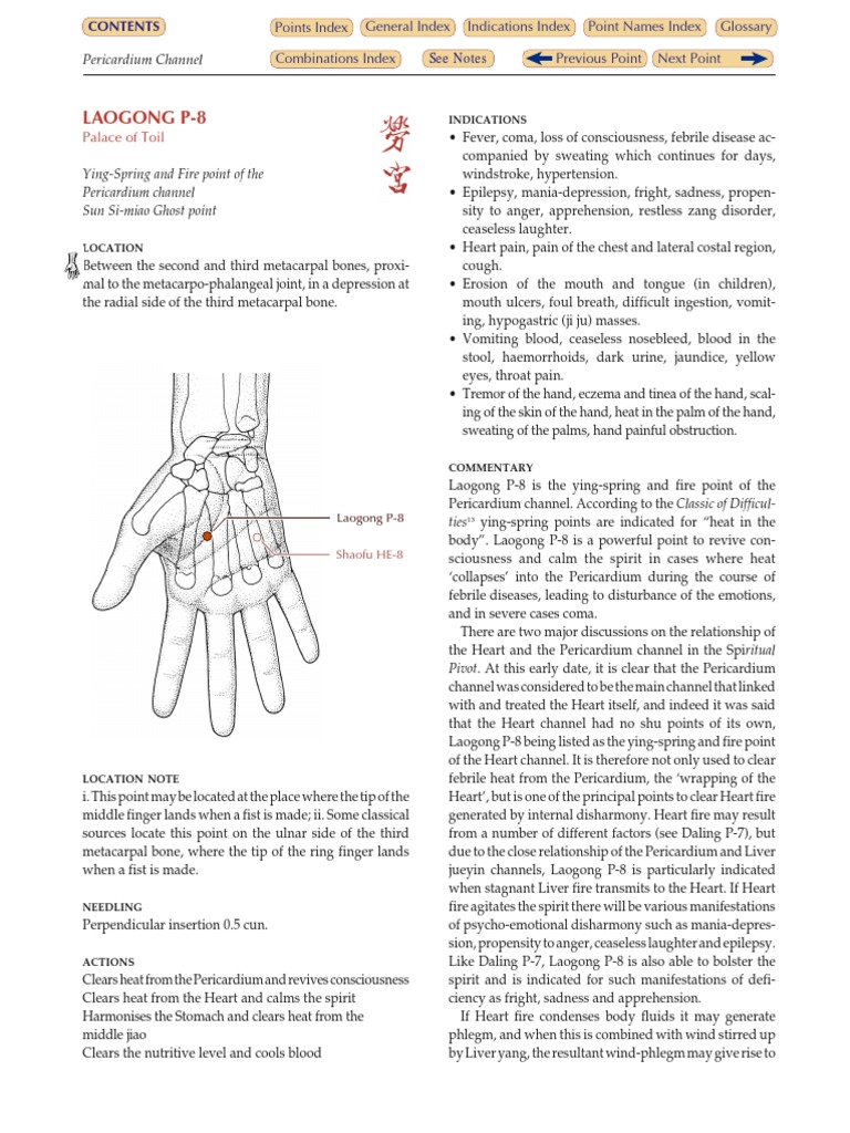 Laogong P-8: Palace of Toil | PDF | Hand | Qi