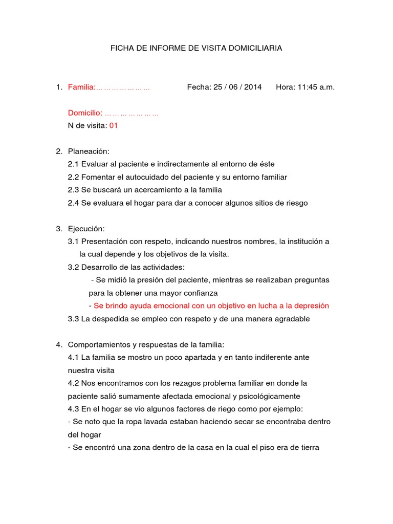 Ficha de Informe de Visita Domiciliaria | PDF