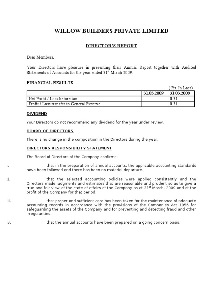 Director Report | PDF | Board Of Directors | Going Concern