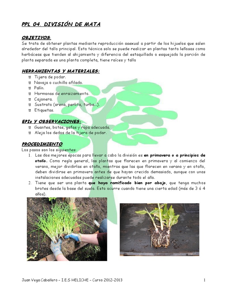 Division de Mata | Naturaleza