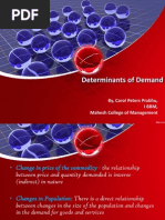 Critical Minimum Effort Theory | PDF | Economic Growth | Income