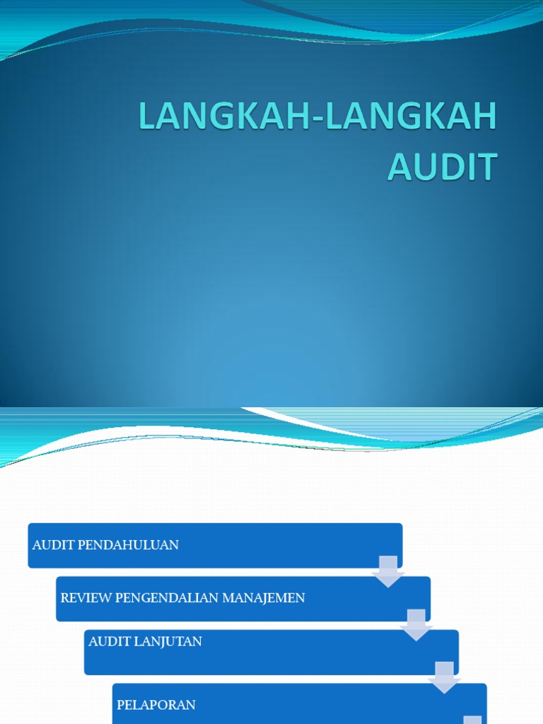 Langkah Langkah Audit | PDF