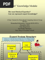 Expert Systems | PDF | Expert | Inference