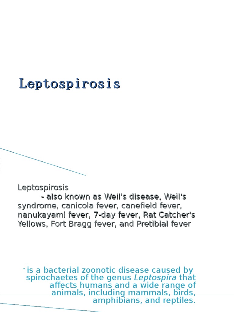 Leptospirosis | PDF | Epidemiology | Immunology