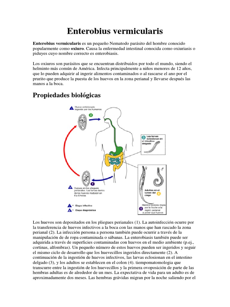 Enterobius Vermicularis | PDF | Especialidades Medicas | Enfermedades y ...