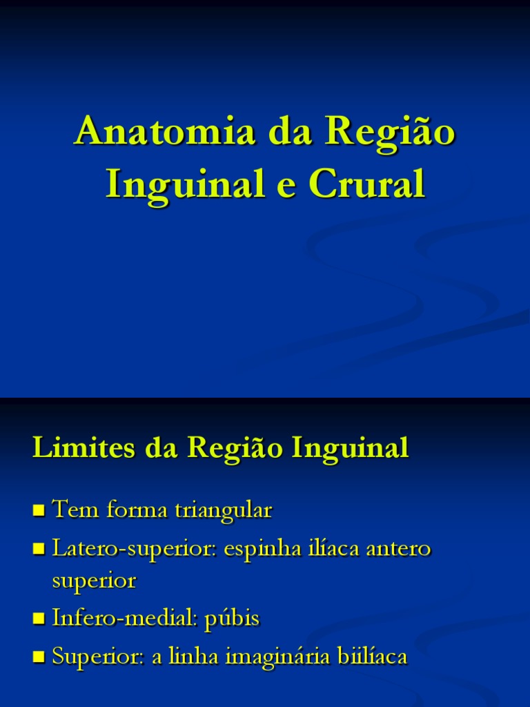 Anatomia+da+Região+Inguinal+e+Crural_1 | Anatomia Humana | Anatomia