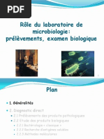 Cours Bactériologie | PDF | Bactérie | Cellule (Biologie)