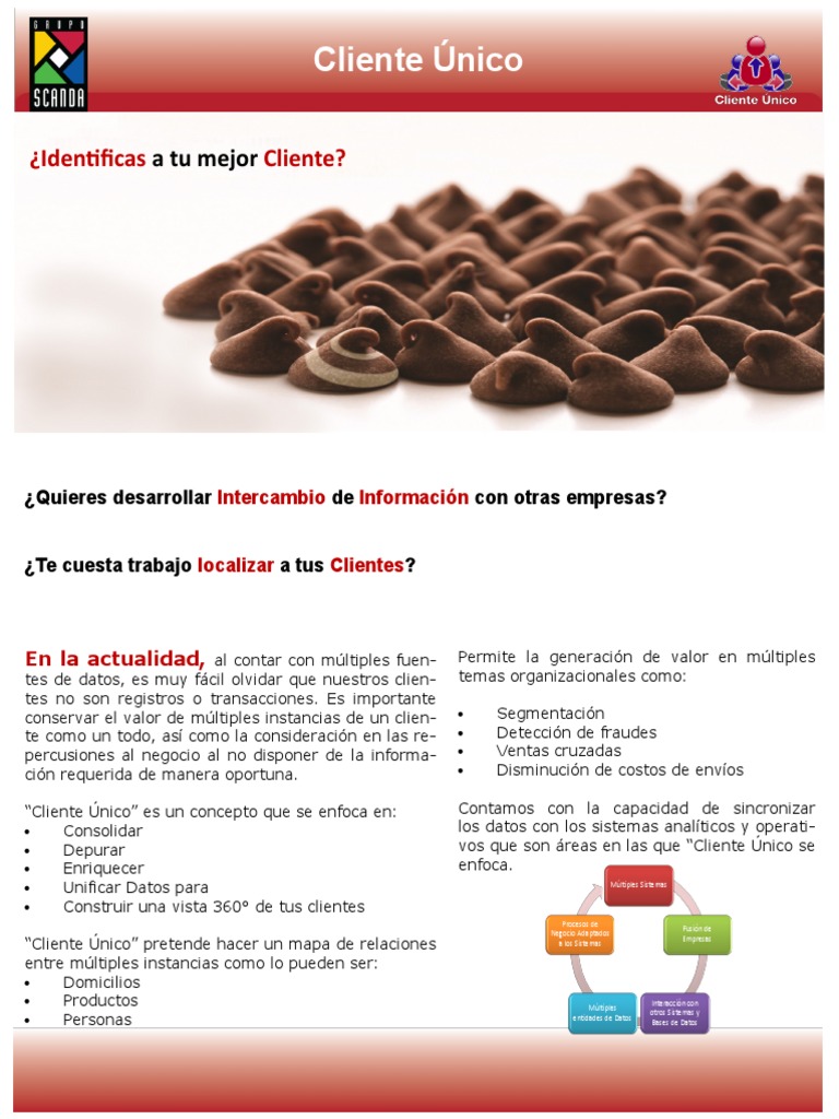 Cliente Unico | Descargar gratis PDF | Arquitectura orientada a ...