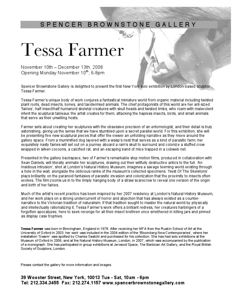 Tessa Farmer: Spencer Brownstone Gallery | PDF | Library And Museum