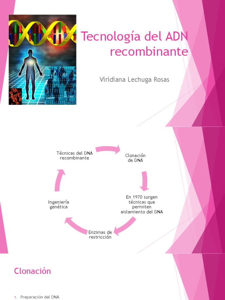 Tecnología Del ADN Recombinante PDF | Enzima restrictiva | Adn