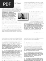 Seeing - Annie Dillard | PDF | Nature