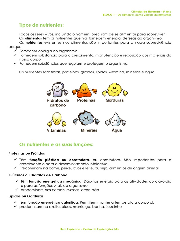 Nutrientes Essenciais e Suas Funções | PDF | Nutrientes | Vitamina