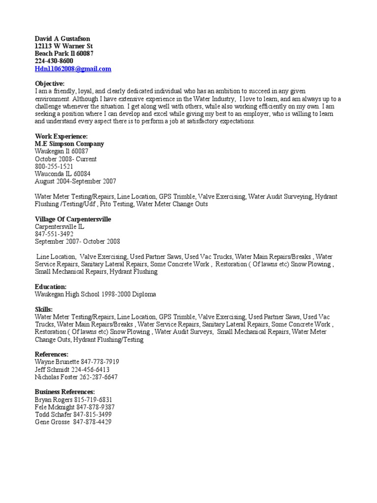 Dave's Resume | PDF | Career & Growth | Home & Garden