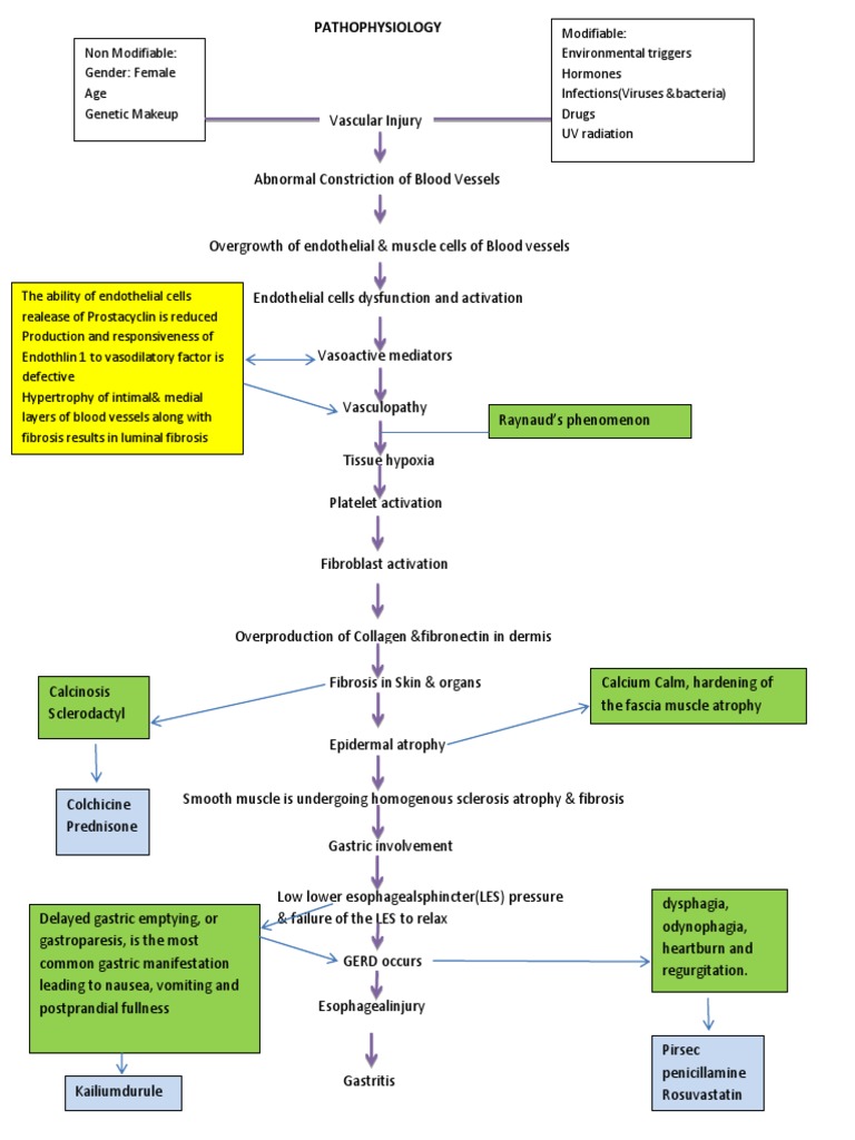 Pathophysiology Scleroderma | PDF
