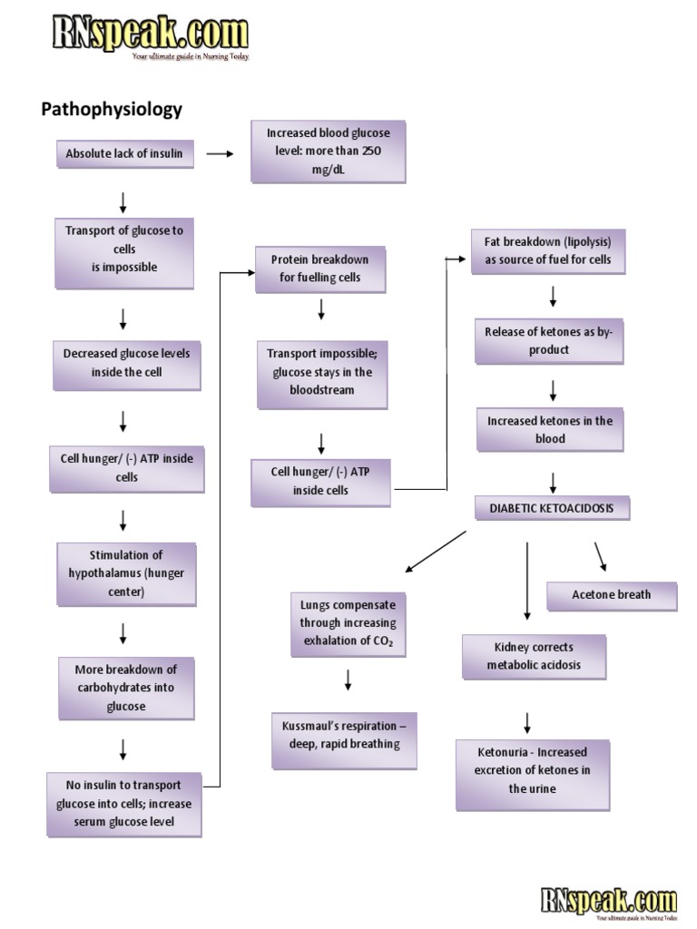 Pathophysiology of Diabetic Ketoacidosis