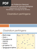 Enterobius vermicularis: Ciclo y Tratamiento | PDF | Epidemiología ...