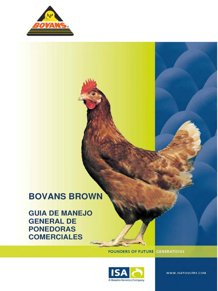 Guia de Manejo General de Ponedoras Comerciales Bovans Brown | Aves ...
