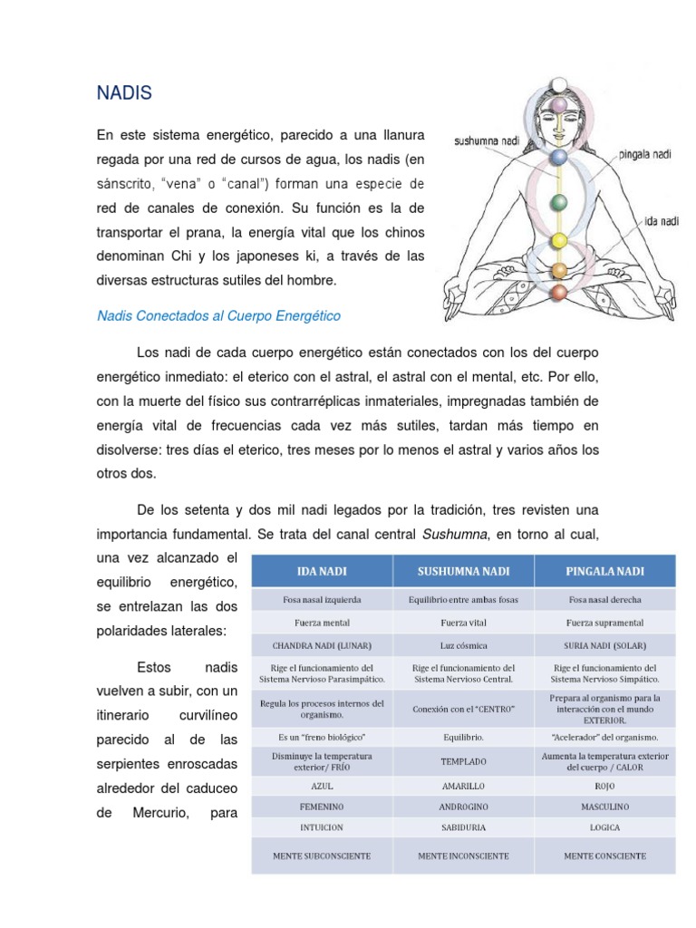 Los Nadis: Canales Energéticos en Yoga | PDF | Yoga | Science