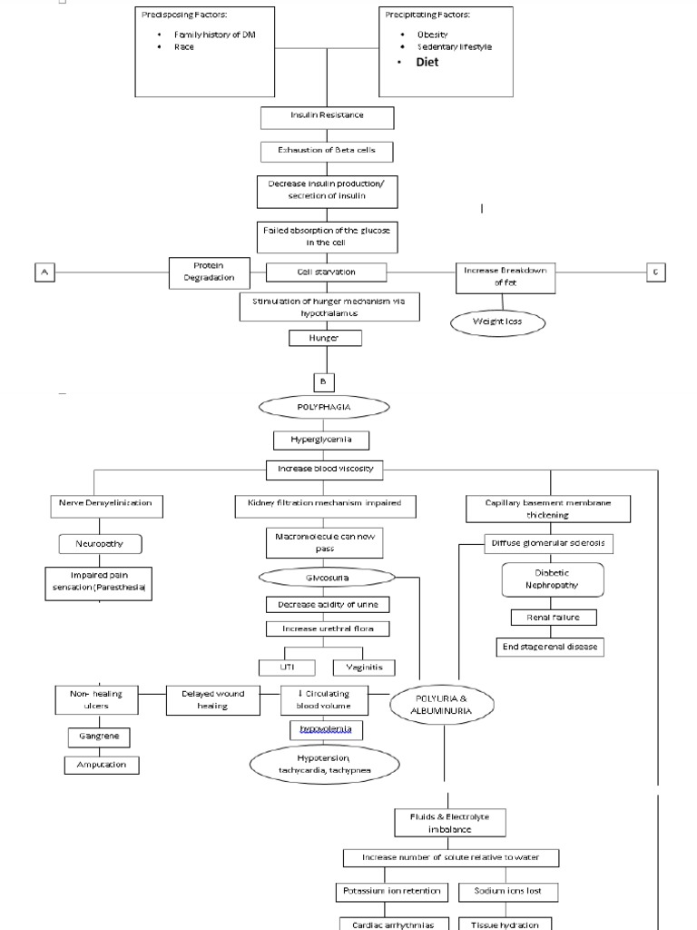 Pathophysiology of Diabetes Mellitus Type 2