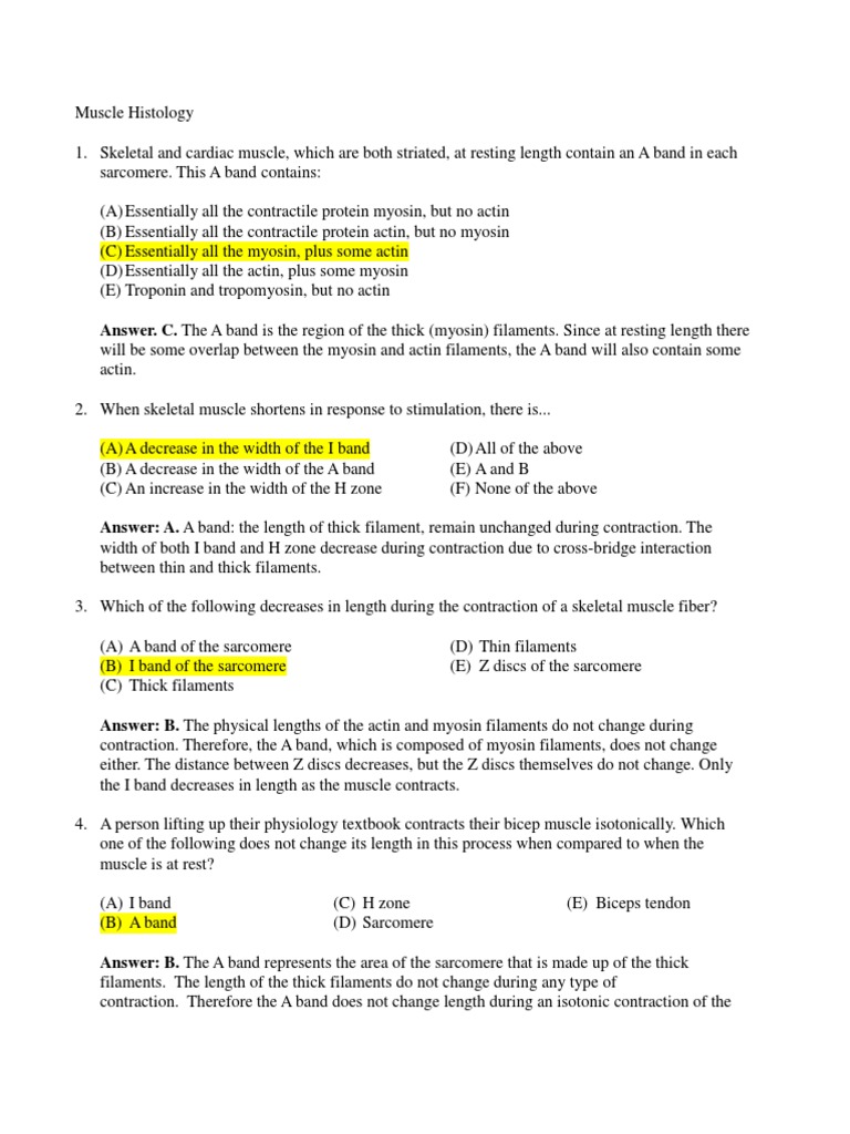 Muscle MCQs - Answer | PDF | Muscle Contraction | Skeletal Muscle