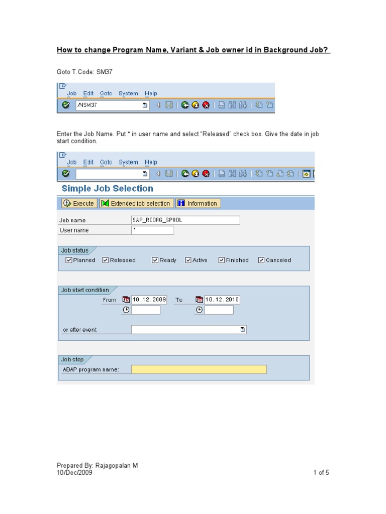 How To Change Program Name, Variant & Job Owner Id in Background Job ...