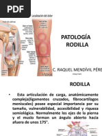 Exploración Clínica de la Rodilla | PDF | Rodilla | Anatomía humana