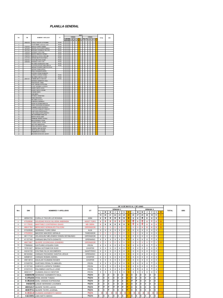 Planilla General 19.01 | PDF