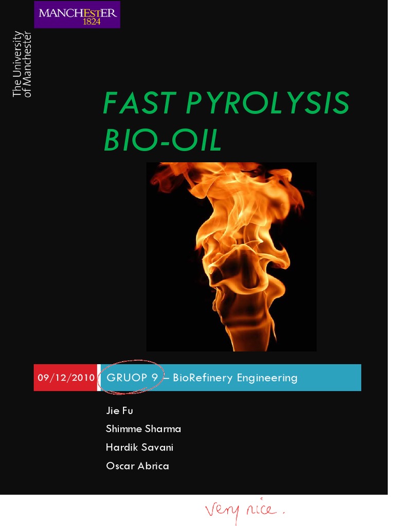 Group 9 (Bio-Oil Pyrolysis) - Handout | PDF | Pyrolysis | Biomass