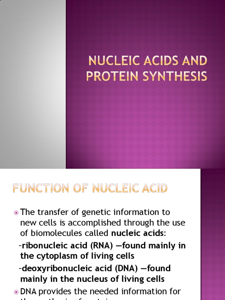 Nucleic Acids and Protein Synthesis PDF | PDF | Rna | Dna