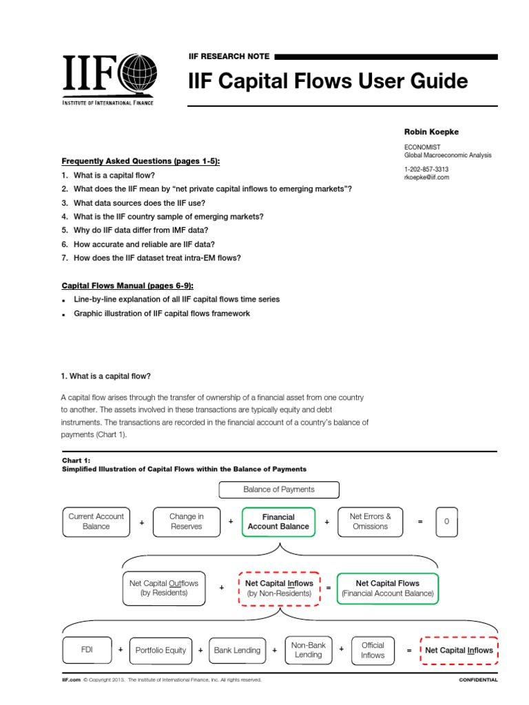 IIF Capital Flows User Guide | PDF | Current Account | Investing
