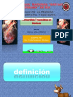 Reticulitis Traumatica y Secuelas | PDF | Medicina CLINICA ...