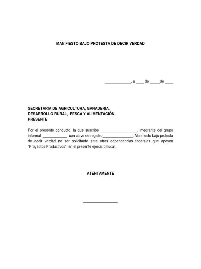 Manifiesto Bajo Protesta de Decir Verdad | PDF