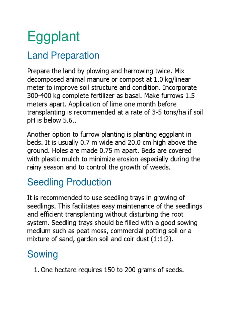 Eggplant | PDF | Sowing | Seedling