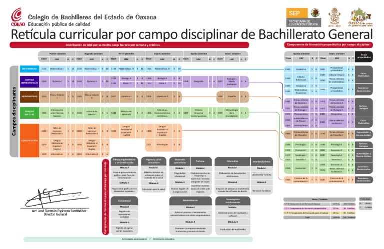 Mapa Curricular Cobao 2025 | PDF | Academia | Science