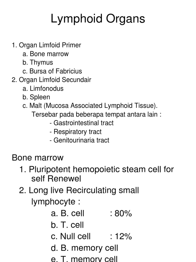 Organ Limfoid | PDF