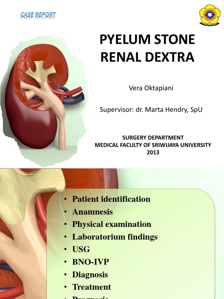 Batu Pielum | PDF | Pain | Kidney
