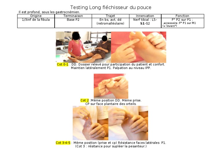 Testing Long fléchisseur du pouce(photo) | PDF