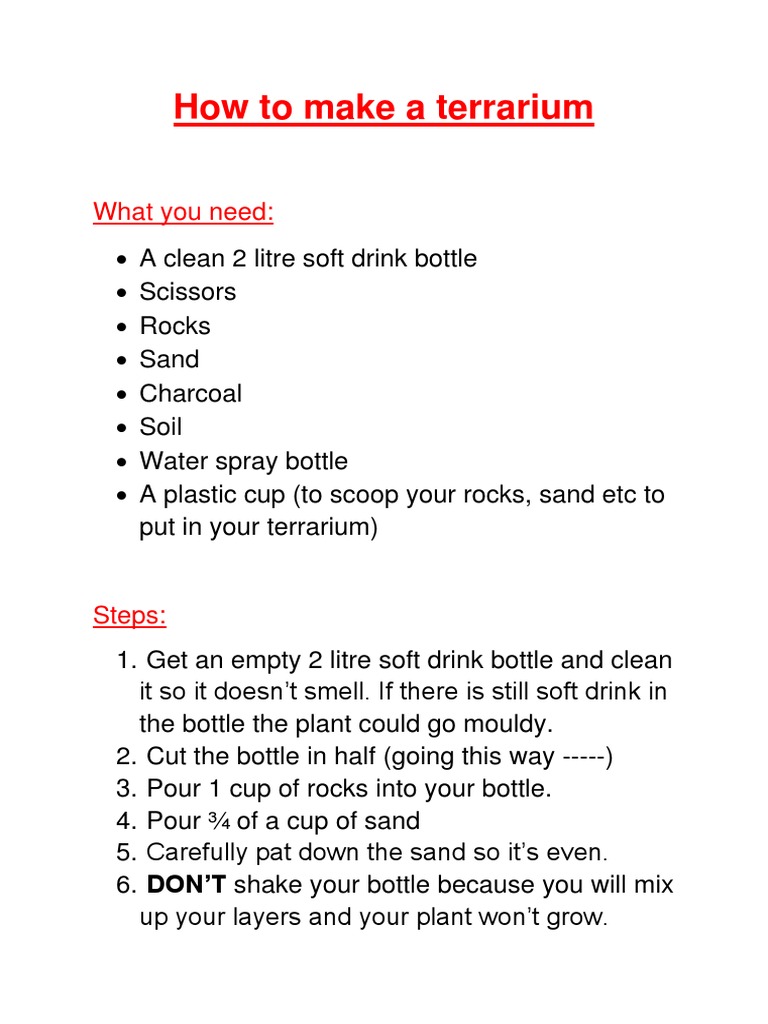 How To Make A Terrarium | PDF