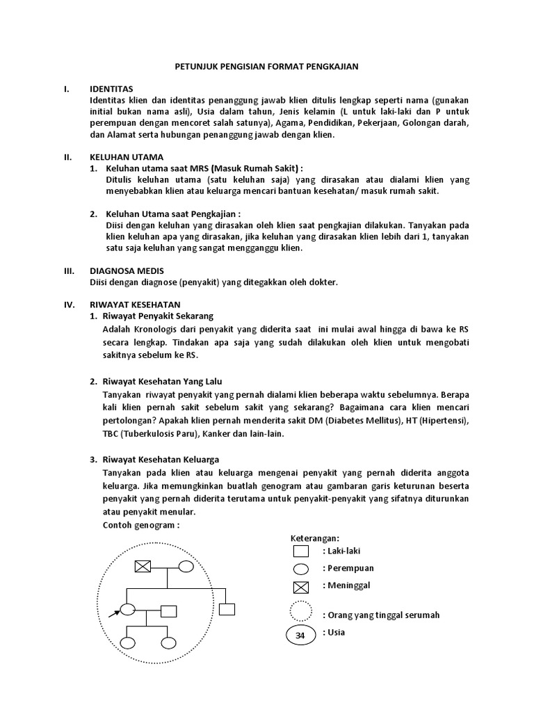 Petunjuk Pengisian Format Pengkajian | PDF